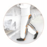 RESEARCH – Bio-Inspired Robotics Laboratory